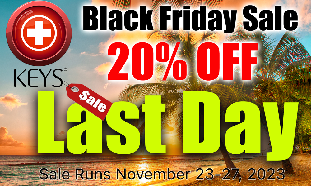 last-day-Black-Friday-23-template