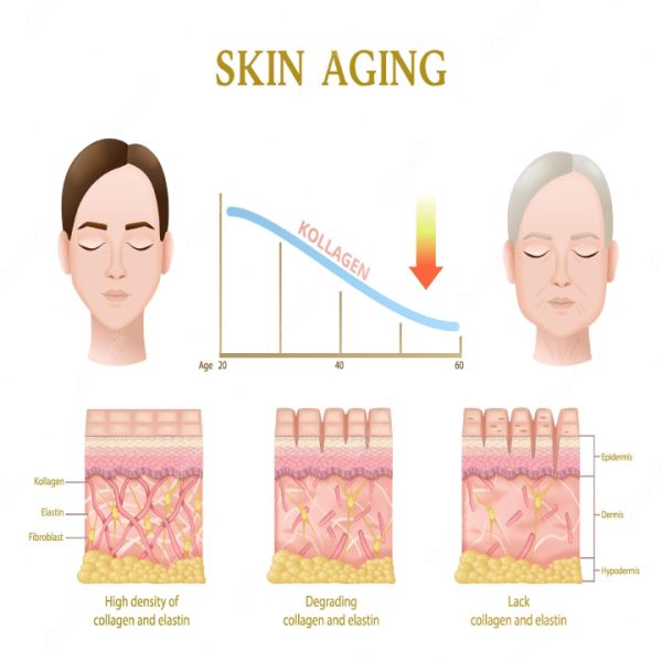 Collagen Restoring Oils For Youthful Skin - A Keys® Tradition - Keys ...